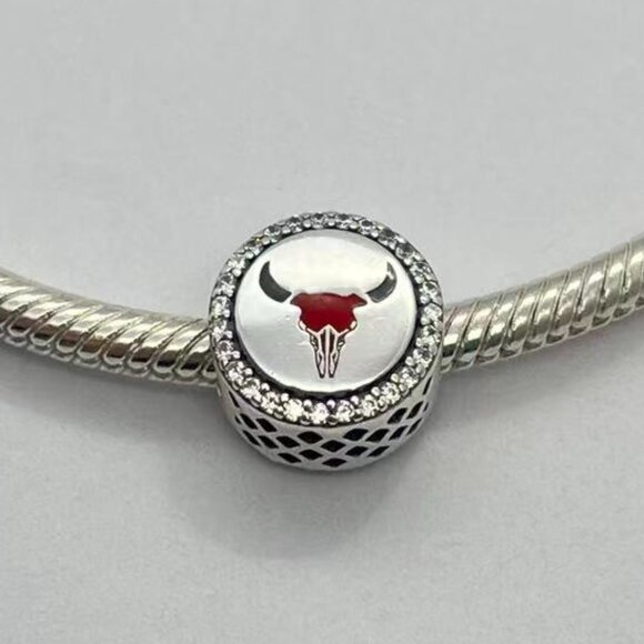 Pandora | Jewelry | Pandora New Mexico Exclusive Charm | Poshmark